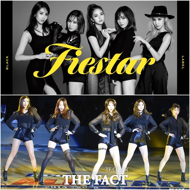 [TF포커스] 작정한 피에스타, '제2의 EXID' 유력 후보 - 연예 > 미리보기 - THE FACT