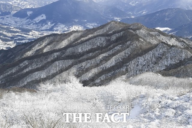 [TF사진관] 설경 펼쳐진 지리산 - 전국 | 기사 - 더팩트